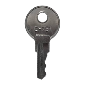 Standard Baggage Door Key CH751