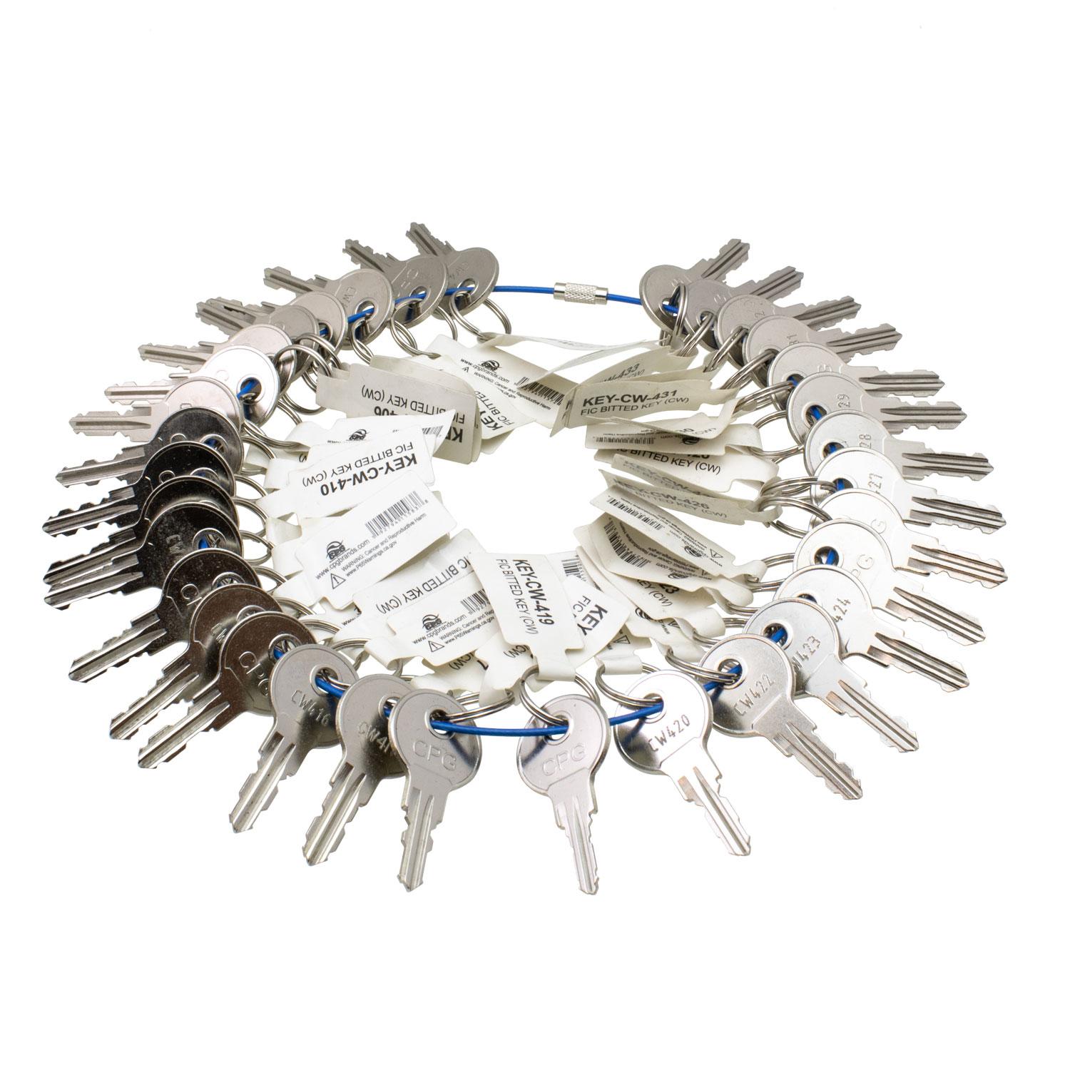 FIC Key Ring CW401 - 434